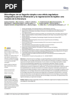 Polarización de Macrófagos M1 y M2 | PDF | Macrófago | Citocina