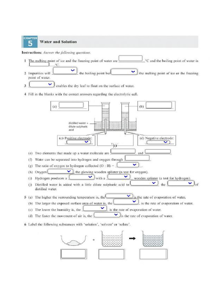 Science F2 Chapter 5 Exercises | PDF