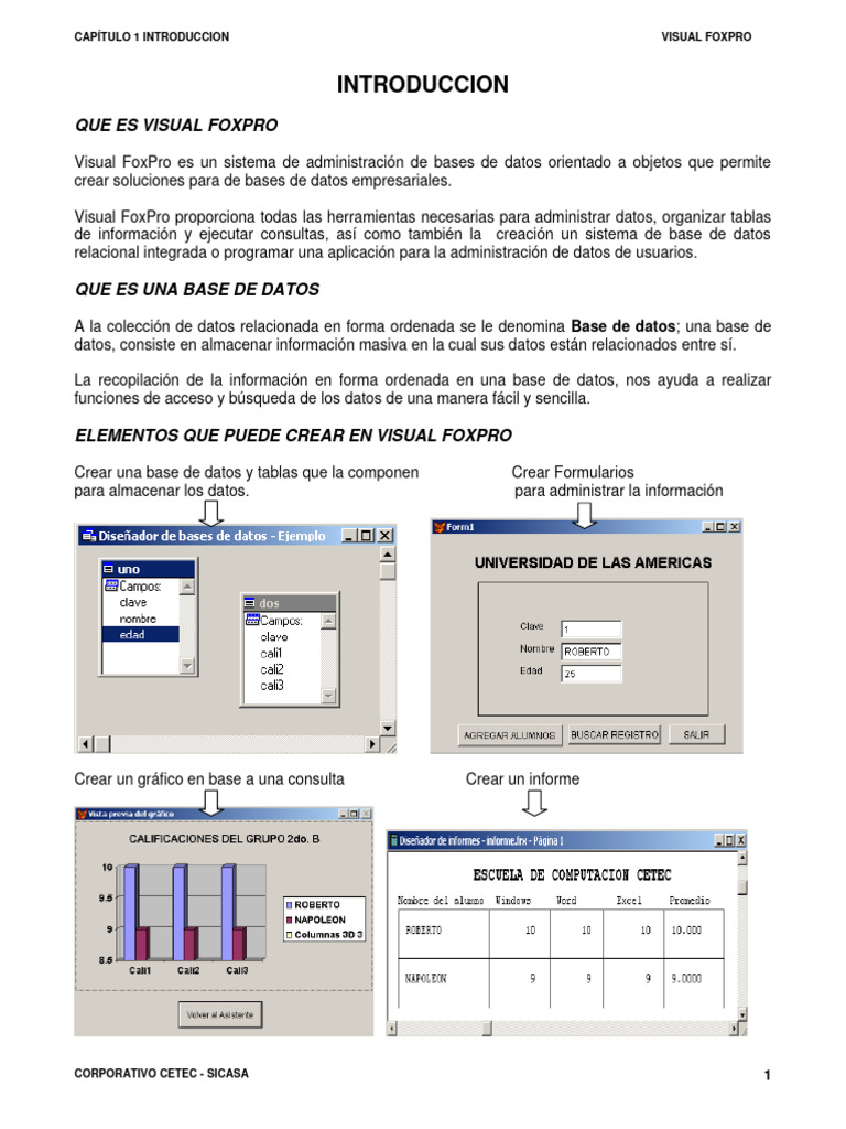 Introducción a Visual FoxPro y Bases de Datos | PDF | Bases de datos ...