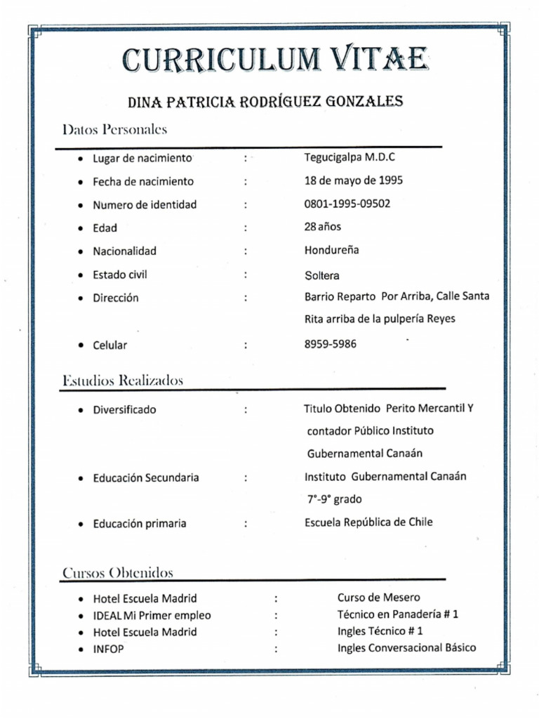 Curriculum Dina Rodriguez 2024 | PDF