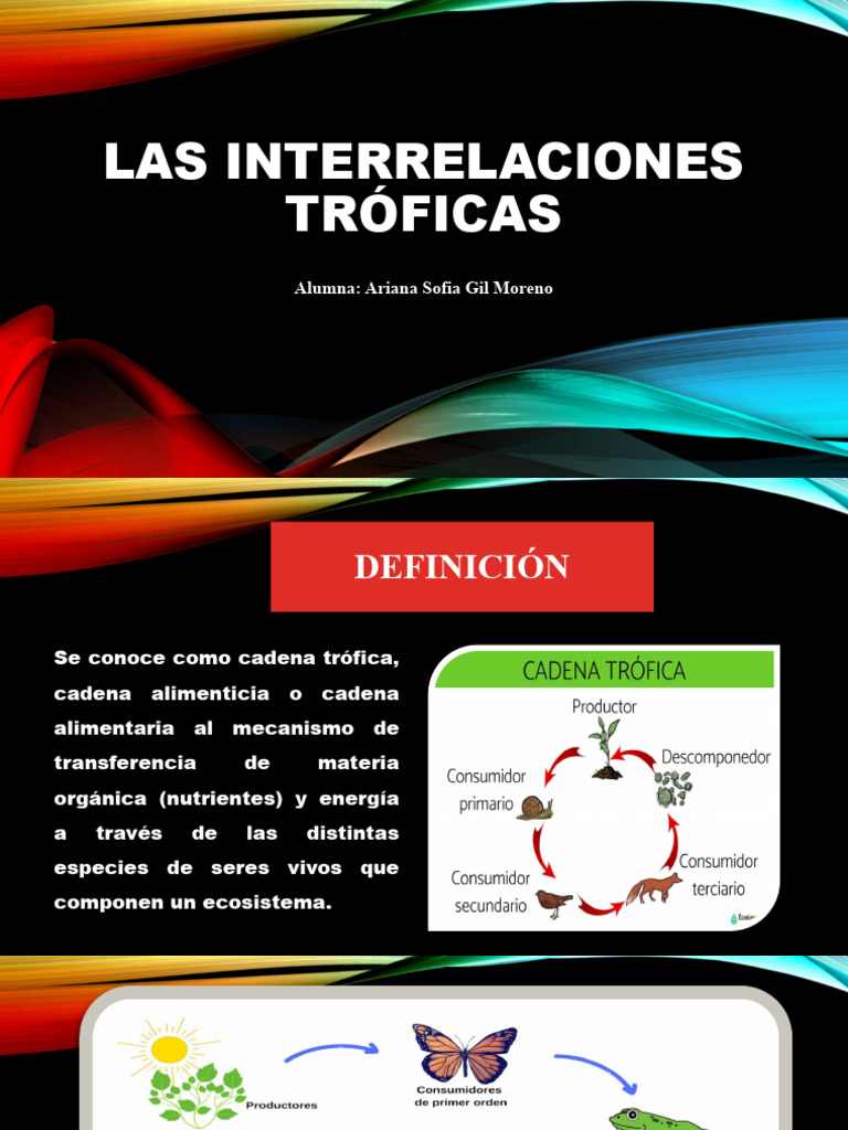 Relaciones Troficas | PDF | Red alimentaria | Biología