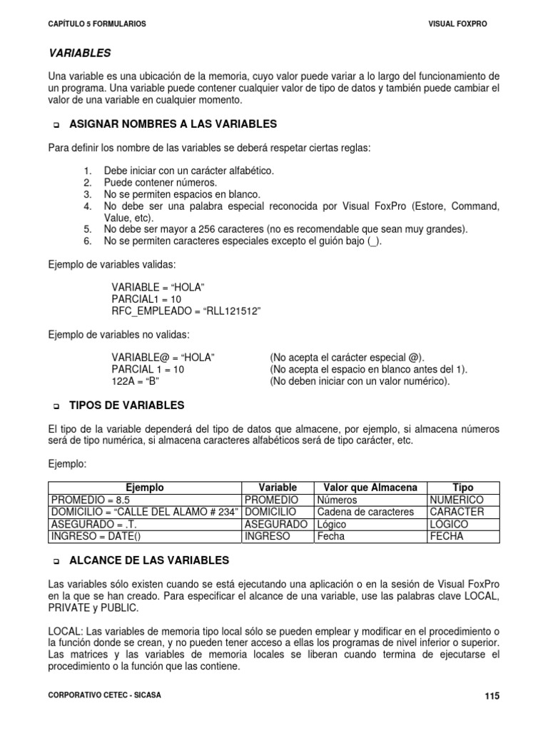 Capitulo 5a | PDF | Variable (informática) | Tipo de datos