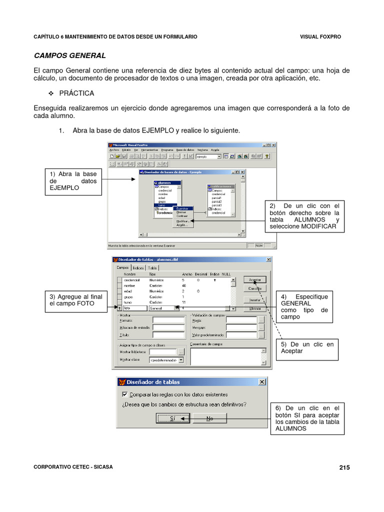 Mantenimiento de Datos en Visual FoxPro | PDF | Archivo de computadora | Ventana (informática)