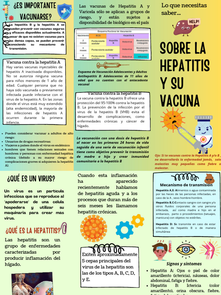 Folleto de Hepatitis | PDF | Hepatitis B | Hepatitis