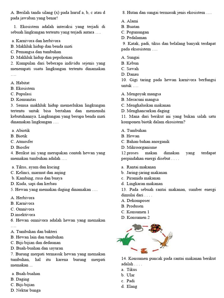 Soal Ipa Ekosistem Dan Rantai Makanan Pdf