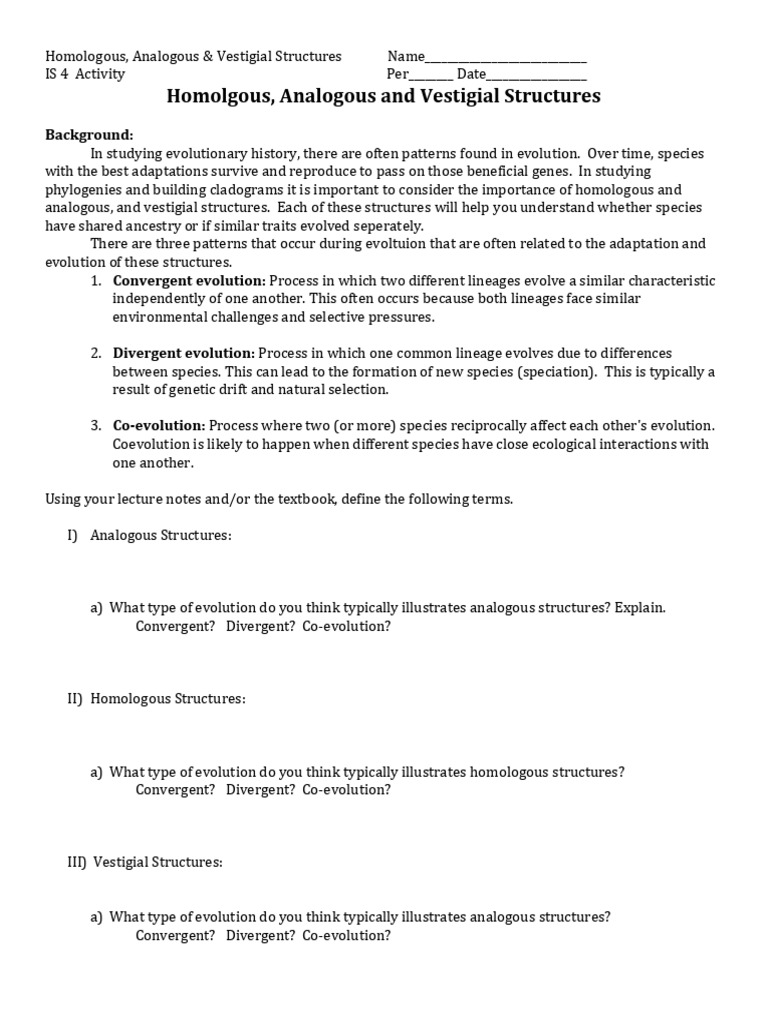 Homologous Analogous Vestigial Activity GP13 | PDF | Evolution ...