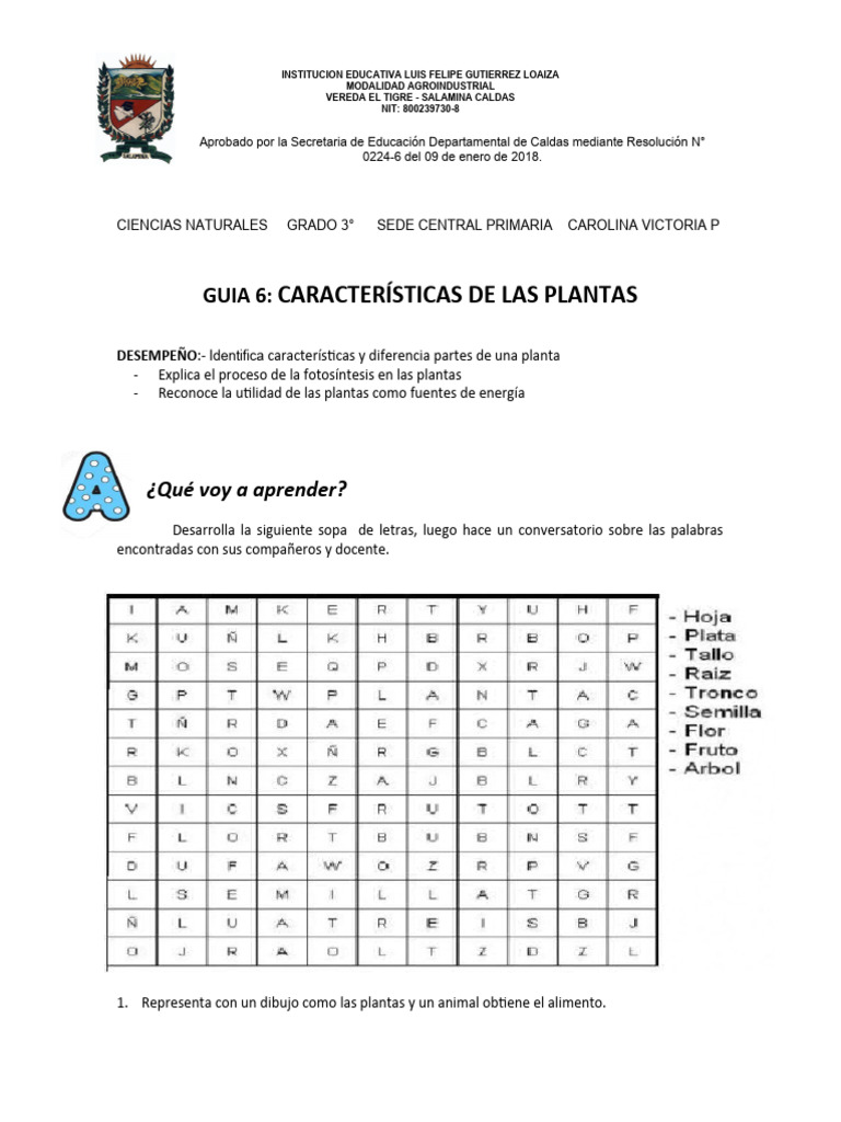 Parte de Las Plantas 2° | PDF | Plantas