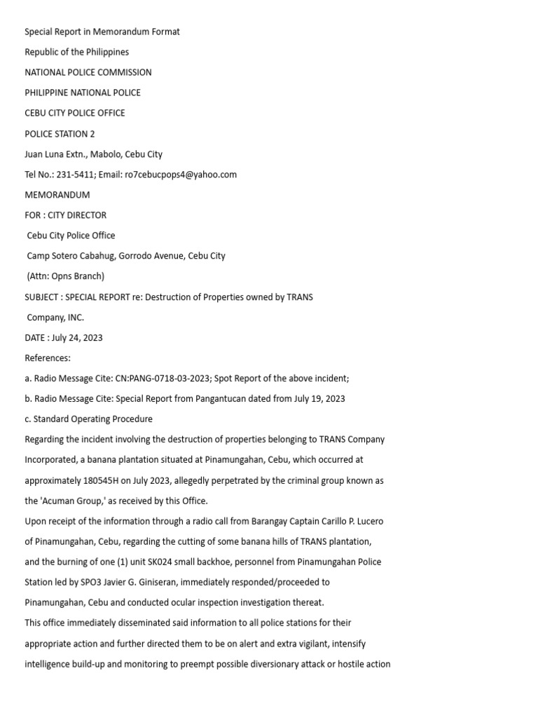 Special Report in Memorandum Format2 | PDF | National Security