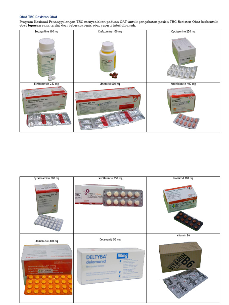 OAT Resistan Obat - Update | PDF