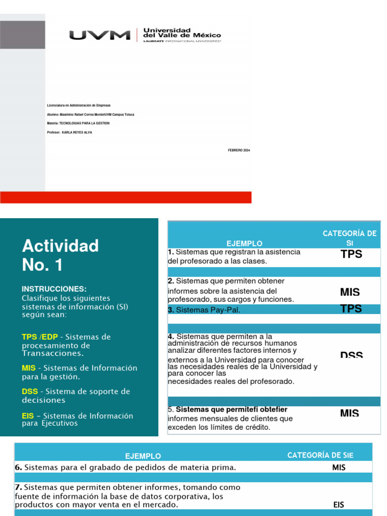 Actividad 1 - EJERCICIO Tipos de SIE MRCM | PDF | Business | Mercado (economía)