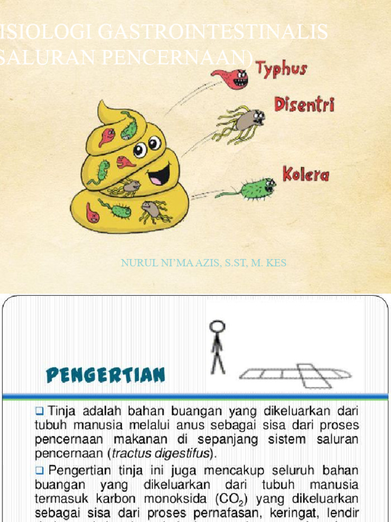 Proses Pembentukan Feses dan Defekasi | PDF
