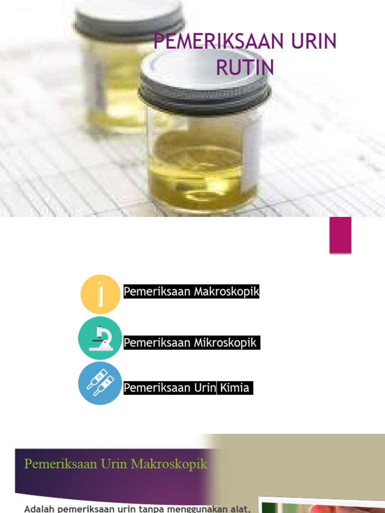 4 Pemeriksaan Urin Rutin | PDF