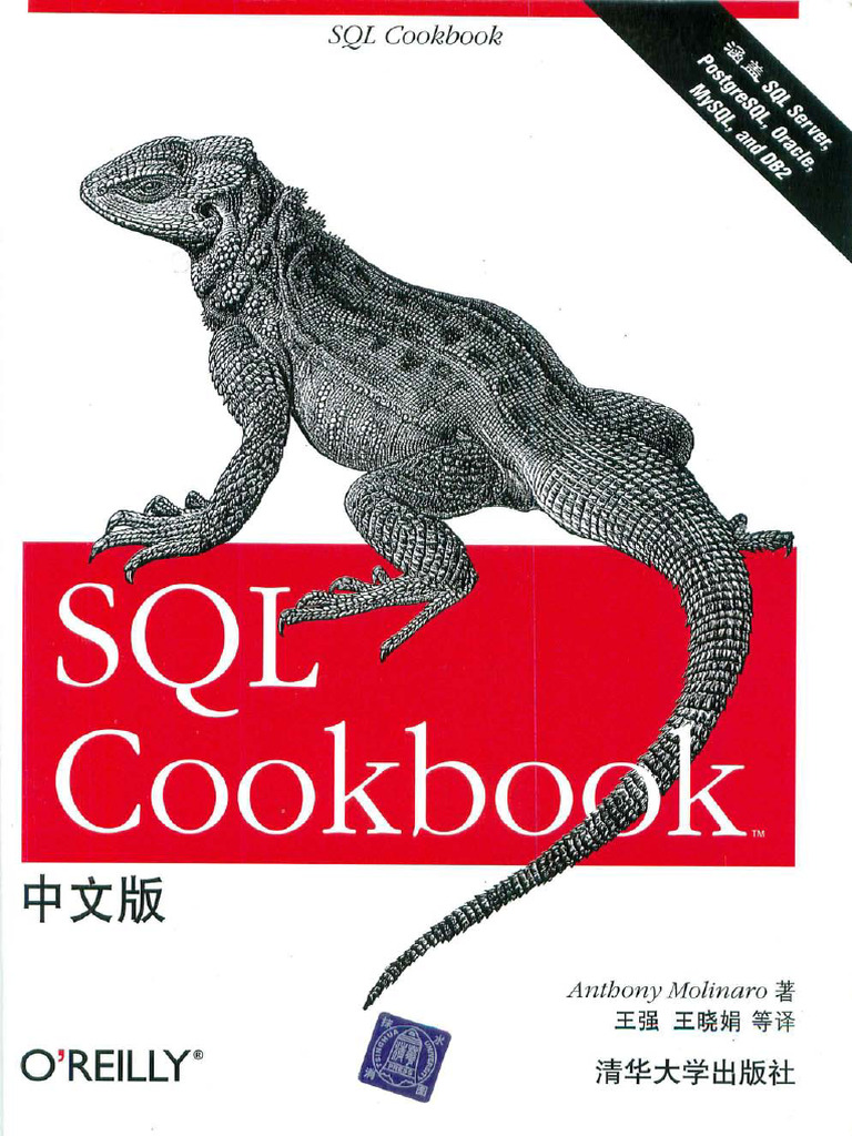 SQL Cookbook (中文版) | PDF