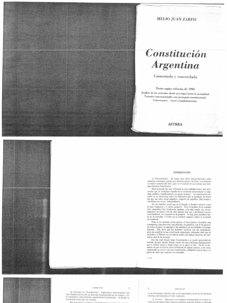 Clase 2 Sobre El Concepto De Constitucion Pdf