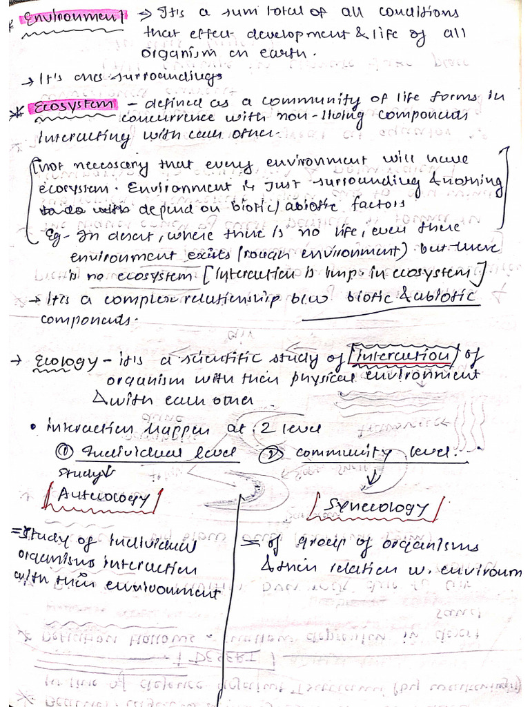 Environment Notes | PDF