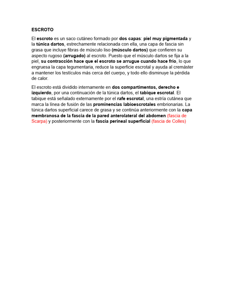Estructura y función del escroto masculino | PDF | Ciencia y ...