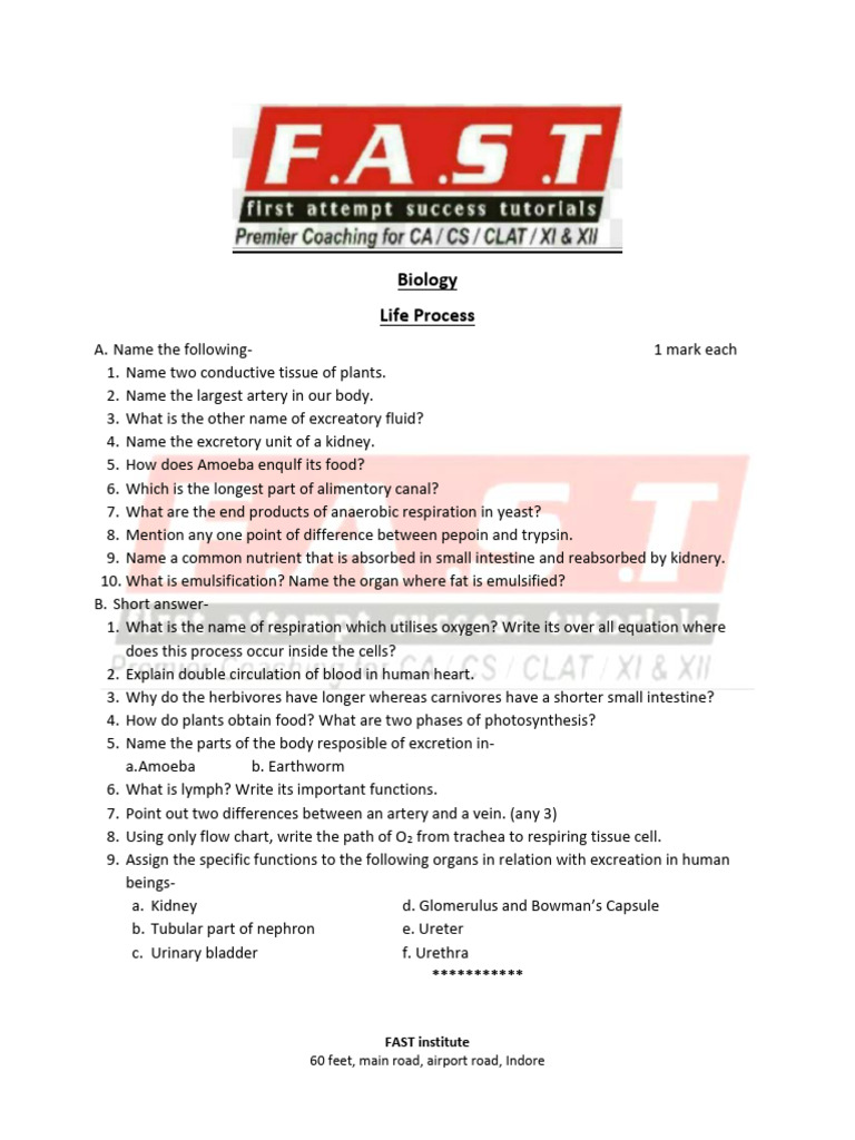 Life Processes - Test | PDF