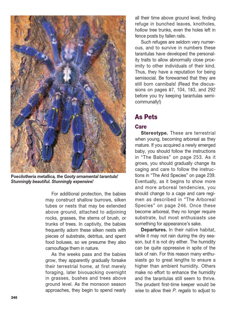 The Tarantula Keepers Guide Revised Edition (Schultz, Marguerite J.Schultz, Stanley A) - 357-389 ...
