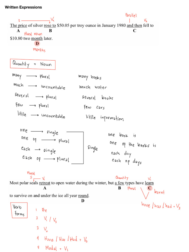 Understanding Written Expressions and Grammar | PDF | Plural | Verb