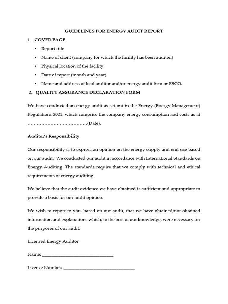GUIDELINES FOR ENERGY AUDIT REPORT | PDF | Audit | Net Present Value