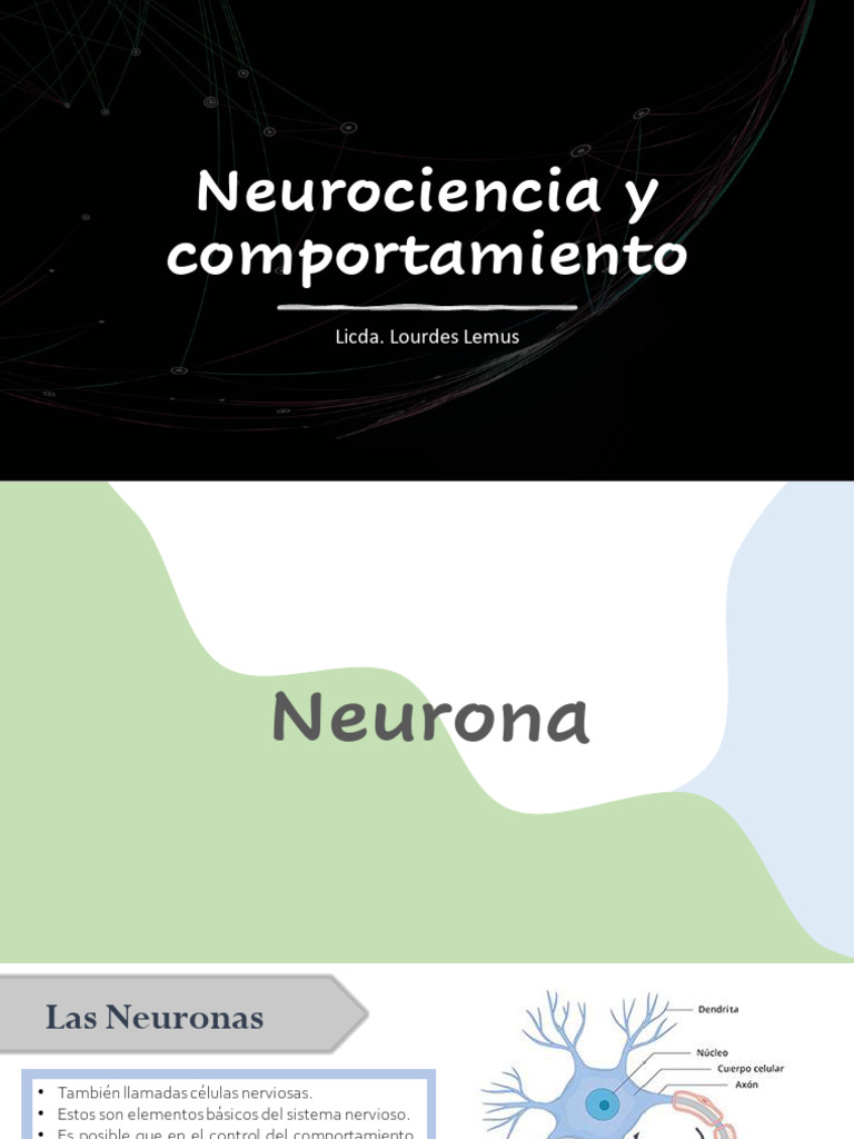 Neurociencia | PDF | Neurona | Sistema nervioso
