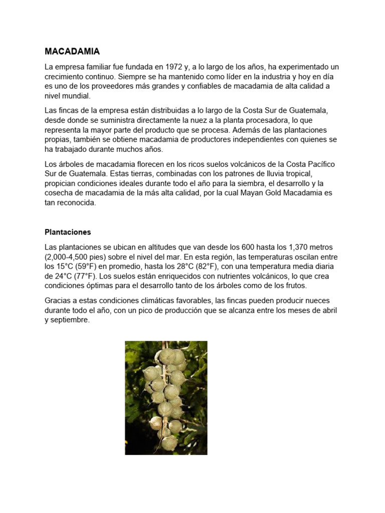 Macadamia | PDF | Tecnología