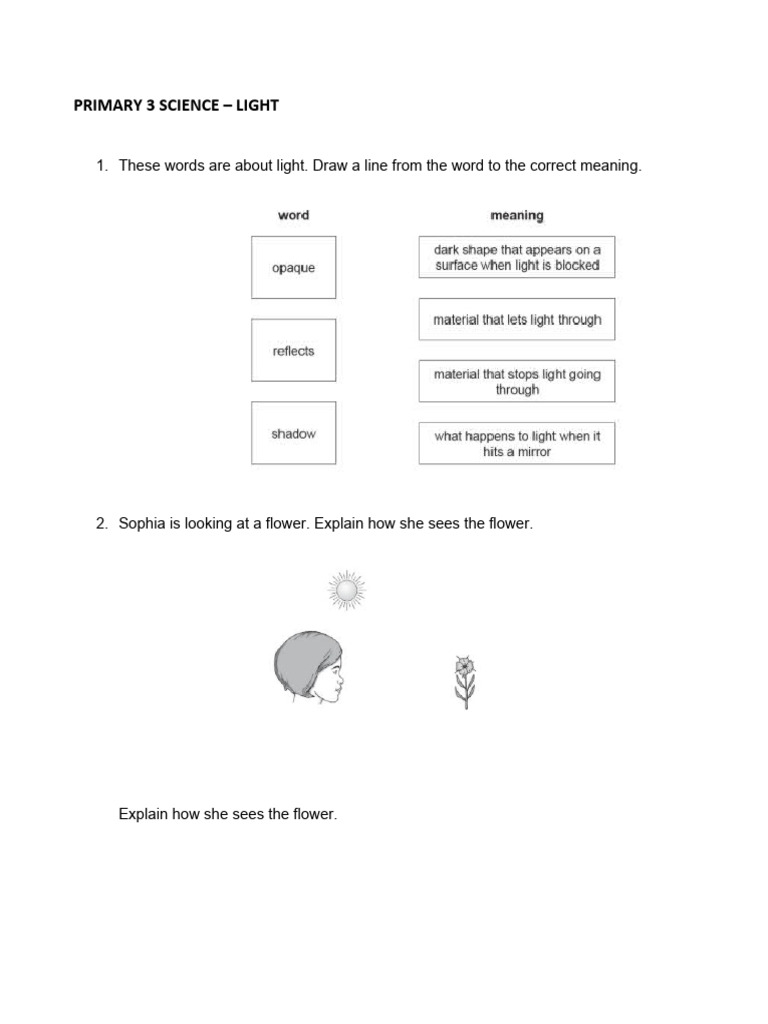 Primary 3 Science: Understanding Light | PDF