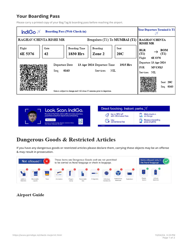 Indigo Research | PDF | Aviation