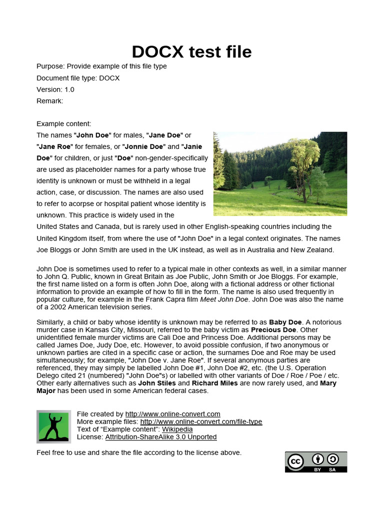 Example | PDF | John Doe