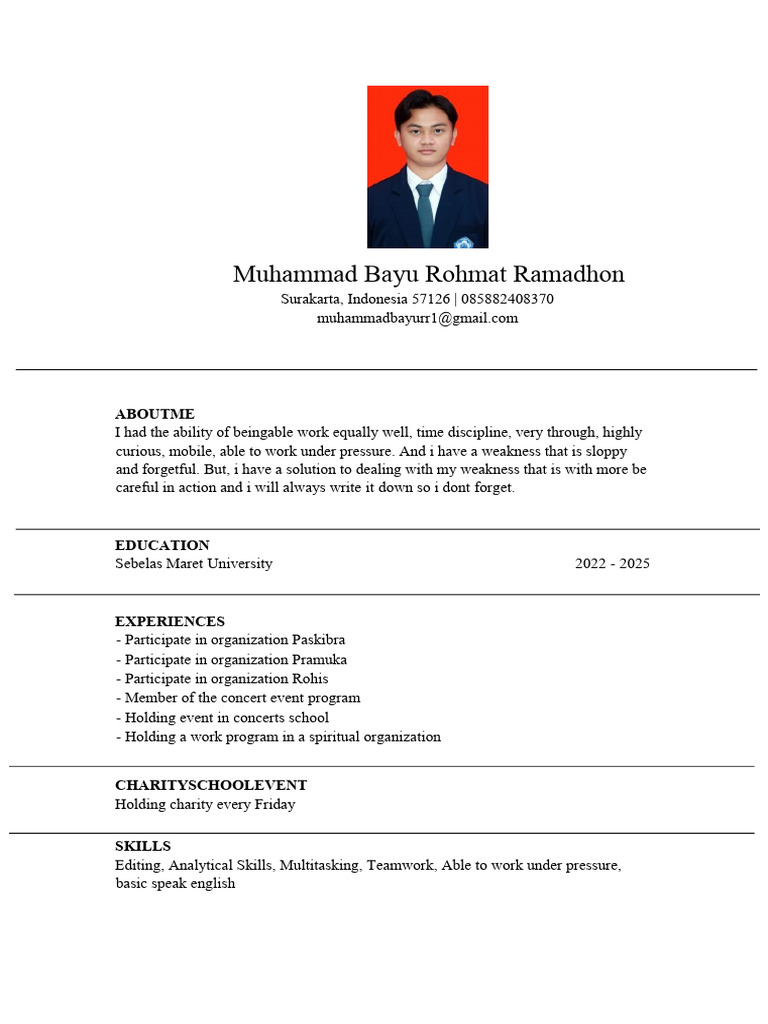 CV Bayu | PDF