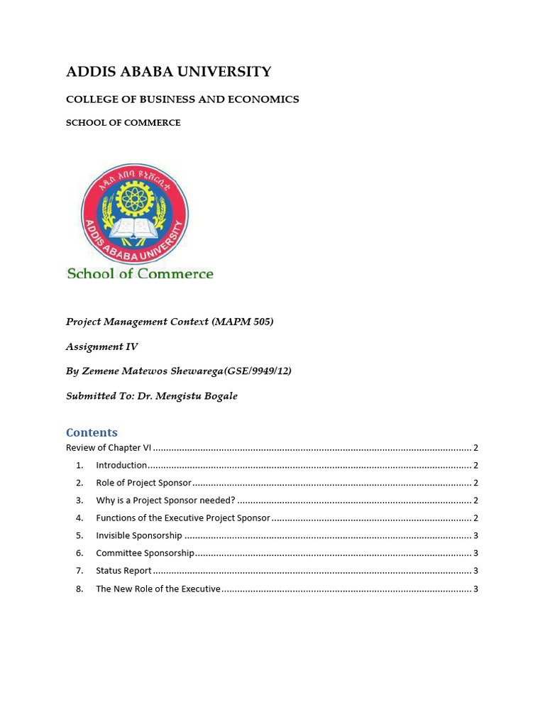 Project IV | PDF | Project Management | Business Economics