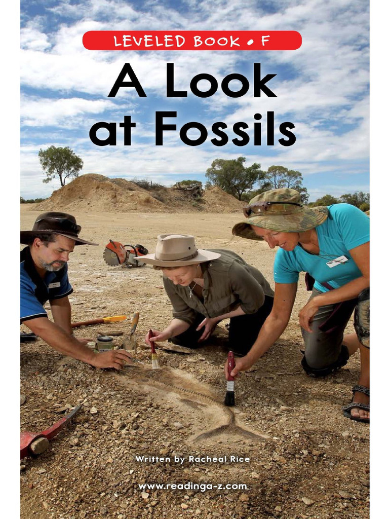 A Look at Fossils | PDF