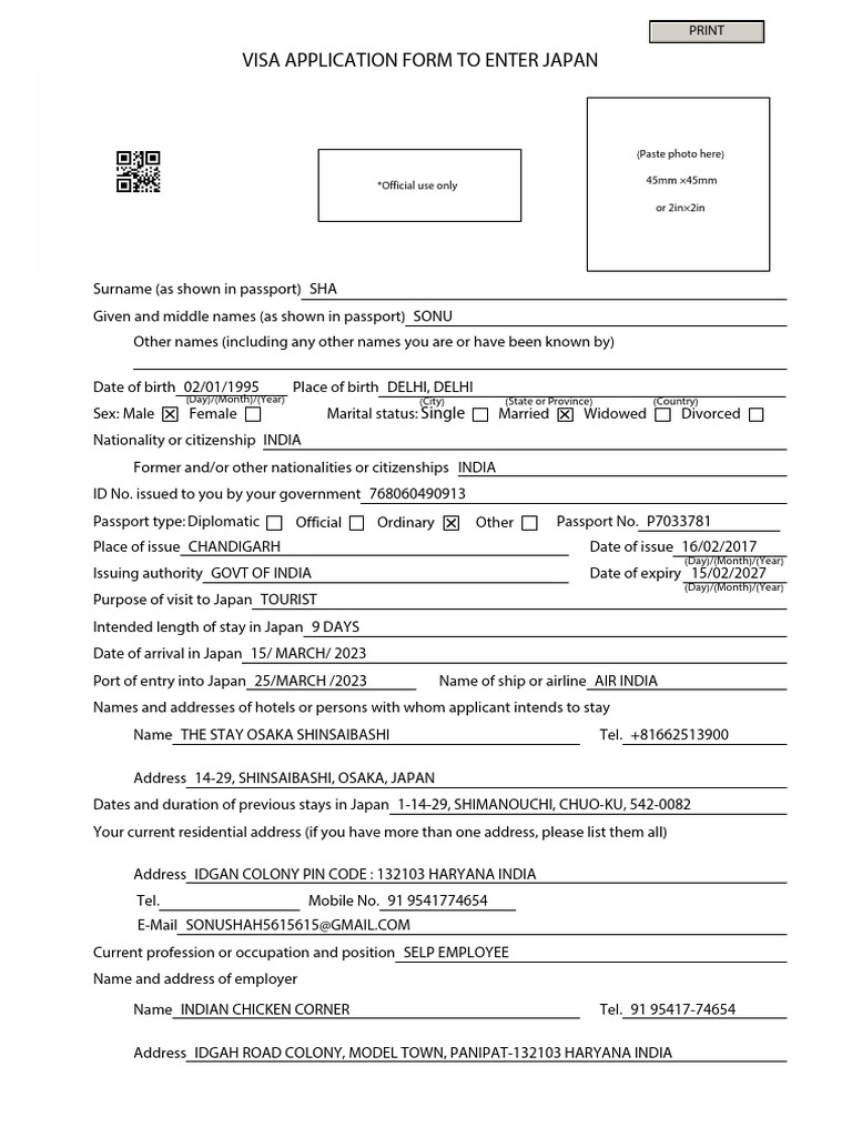 Japan Visa Application Form Guide | PDF | Travel Visa | Passport