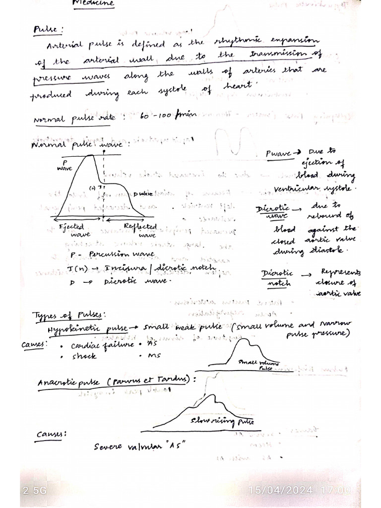 Pulse Waves | PDF