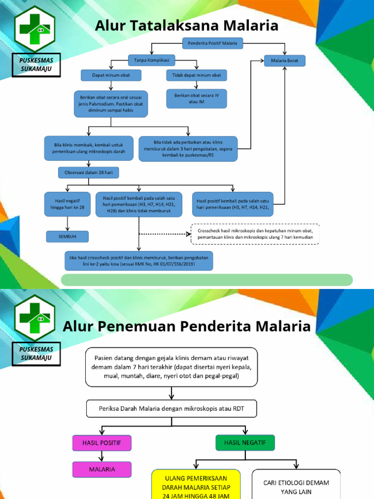 Alur Tatalaksana Malaria | PDF