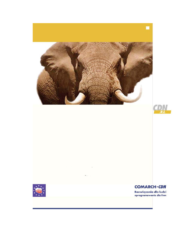 ODBC I Microsoft Query Step by Step | PDF