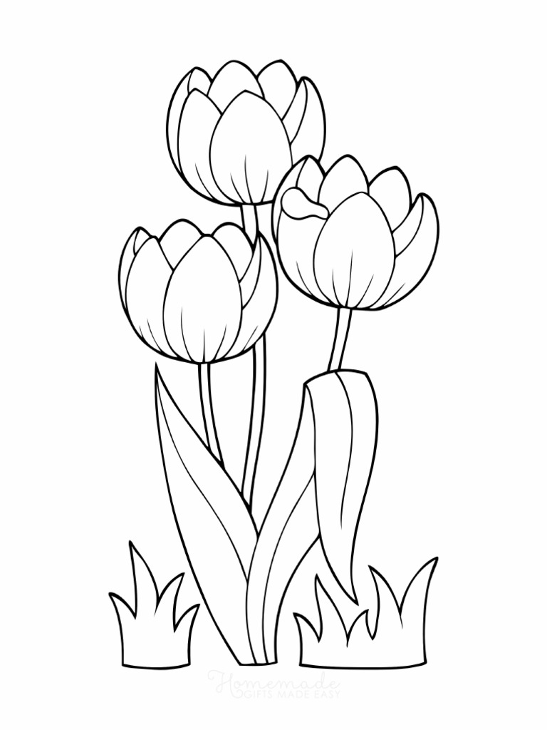 spring-coloring-pages-tulips | PDF