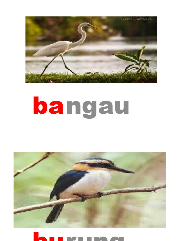 Perkataan Digraf | PDF