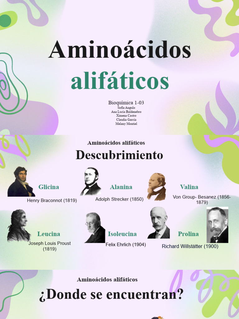 Guía de Aminoácidos Alifáticos | PDF | Aminoácidos | Biosíntesis