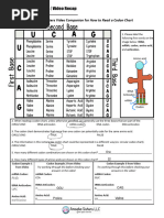 Video Recap of Codon Chart Video Companion by Amoeba Sisters | PDF ...