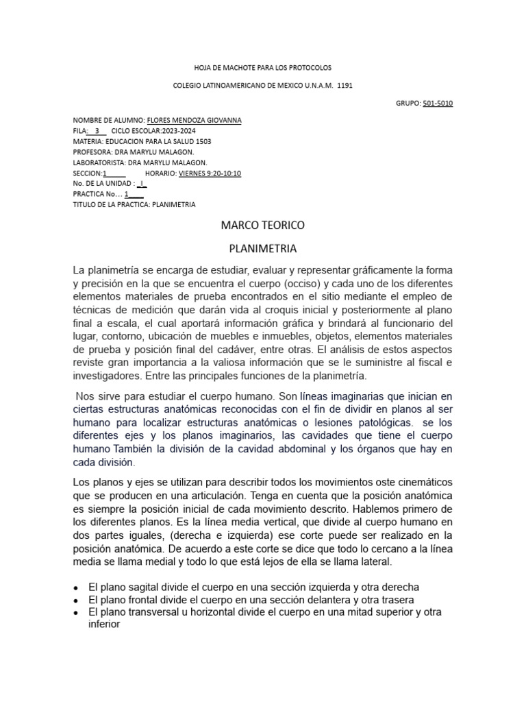 Hoja de Machote para Los Protocolo Planimetria | PDF | Salud y ...