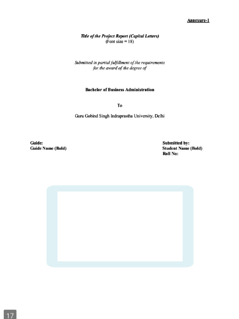 Minor Project Guidelines | PDF | Customer Relationship Management | Thesis