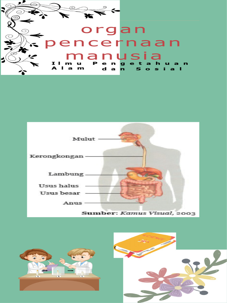 Infografik Alat Pencernaan Manusia | PDF