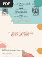 Proceso y Signos de Inflamación | PDF | Inflamación | Medicina