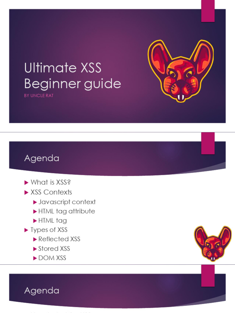 XSS - Ultimate Beginner Guide | PDF