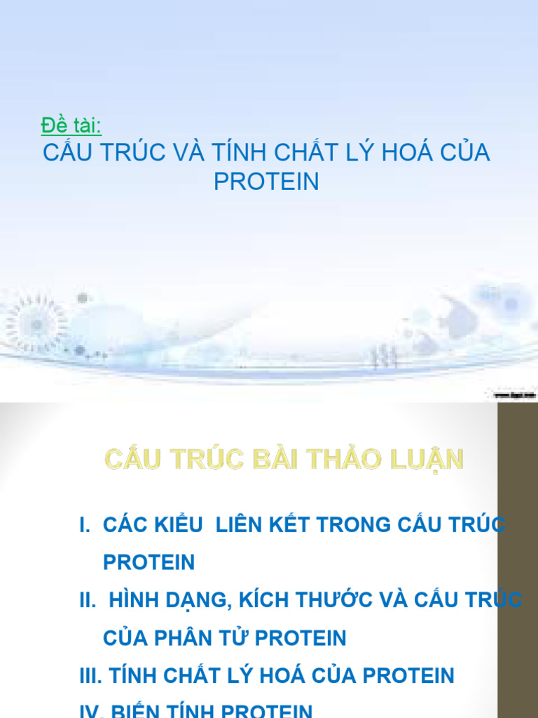 Cau Truc Va Tinh Chat Hoa Ly Cua Protein | PDF