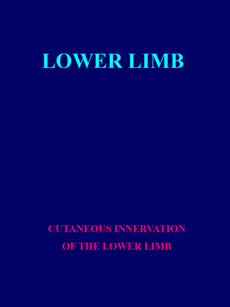 Lecture LL1 Anatomy | Download Free PDF | Human Leg | Pelvis