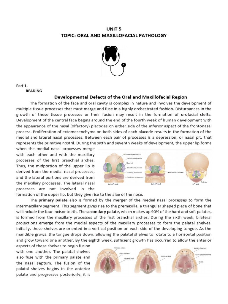 Unit 5 - Topic 4 Pathology | PDF | Human Nose | Face