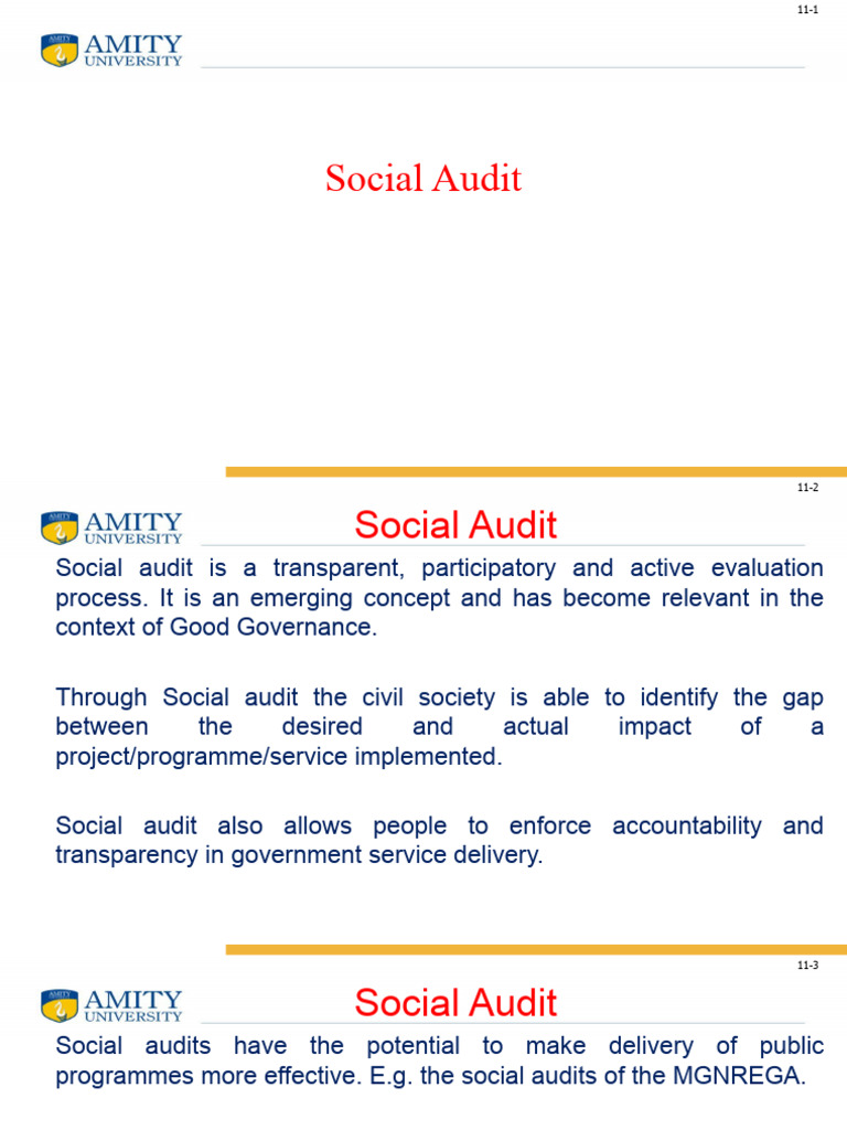 Module 4- Social Audit | PDF | Audit | Economies