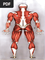 ASIA Impairment Scale for Spinal Injury | PDF | Anatomical Terms Of ...